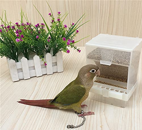 Spill-Proof No-Mess Pet Bird Feeder Parrot Automatic Feeder Seed Food Container Perch Cage Accessories for Budgerigar Canary Cockatiel Finch Parakeet Green Cheek Conures Parrotlets