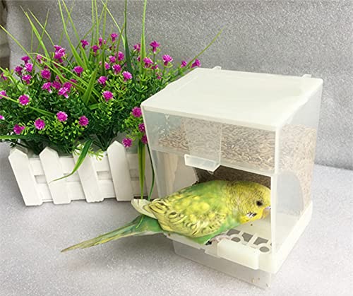 Spill-Proof No-Mess Pet Bird Feeder Parrot Automatic Feeder Seed Food Container Perch Cage Accessories for Budgerigar Canary Cockatiel Finch Parakeet Green Cheek Conures Parrotlets