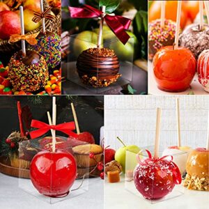 LEMESO 10 Pcs Gift Boxes Candy Apple Box Clear Boxes Transparent Clear with Hole Top, Great for Packing Caramel Apples Party Dessert, 4 x 4 x 4 inch