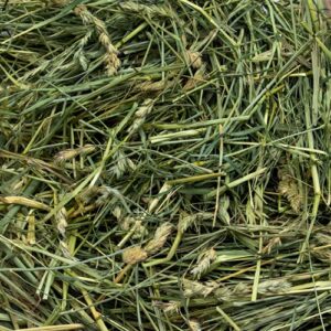 Rabbit Hole Hay Ultra Premium, Hand Packed Coarse Orchard Grass for Your Small Pet Rabbit, Chinchilla, or Guinea Pig (4oz)