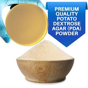 Potato Dextrose Agar Powder 500 Grams - Evviva Sciences - Makes 550 to 600 Agar Petri Dishes - Premium Performance - Excellent for Mold & Fungus - Great for Mushrooms & Science Projects