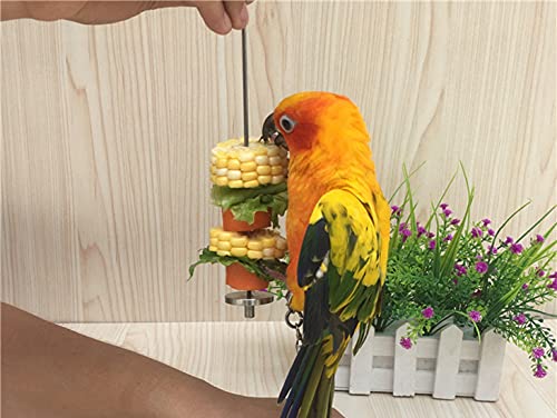 Pet Bird Food Fork Stainless Steel Hanging Bird Treat Feeders Bird Treat Skewer Parrot Foraging Toy for Parrots Cockatoo Cockatiel