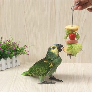 Pet Bird Food Fork Stainless Steel Hanging Bird Treat Feeders Bird Treat Skewer Parrot Foraging Toy for Parrots Cockatoo Cockatiel