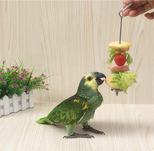 Pet Bird Food Fork Stainless Steel Hanging Bird Treat Feeders Bird Treat Skewer Parrot Foraging Toy for Parrots Cockatoo Cockatiel