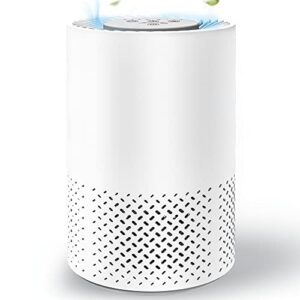 invisiclean stella air purifier for home allergies | 5-in-1 h13 true hepa filter / ionizer / carbon filter + prefilter / uv light | portable air purifiers for large room & bedroom odor elimination