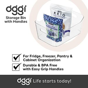 OGGI Storage Bin w/Handles, 13˝ x 9˝ x 6˝, Clear