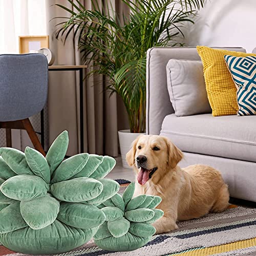 TYISON 3D Succulents Cactus Pillow, Cute Succulents, for Garden or Green Lovers Baby Green Plant Throw Pillows for Bedroom Room Home Decoration Novelty Plush Cushion