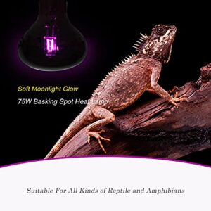 2 Pack 75W Reptile UVA Infrared Moonlight Night Heat Lamp,Basking Spot Bulb Black Glass Cover for Lizard, Chameleon, Snake, Aquarium Reptile, Amphibian