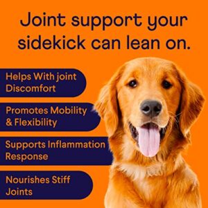 Finn Hip and Joint Supplement for Dogs | Glucosamine, Chondroitin & MSM for Arthritis, Inflammation, and Mobility Support | with Turmeric, BioPerine and B-Vitamins | 90 Soft Chew Treats