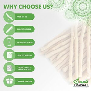 TISWAAK - Pack of 12 Miswak Stick Natural Teeth Whitening Kit – Muslim Natural Flavored Herbal Toothbrush Miswak Sticks Vacuum Sealed with Holder for Healthy Gums, Teeth & Fresher Breath || Pack of 12