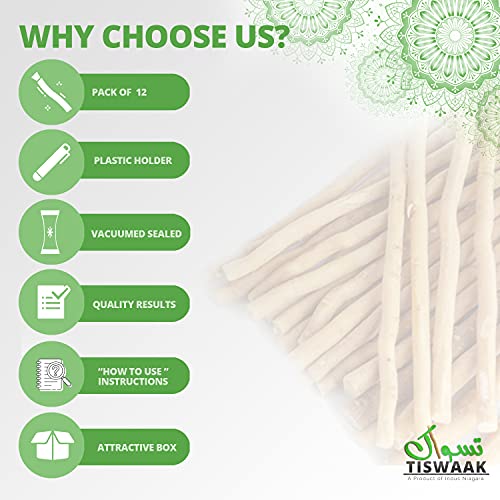 TISWAAK - Pack of 12 Miswak Stick Natural Teeth Whitening Kit – Muslim Natural Flavored Herbal Toothbrush Miswak Sticks Vacuum Sealed with Holder for Healthy Gums, Teeth & Fresher Breath || Pack of 12