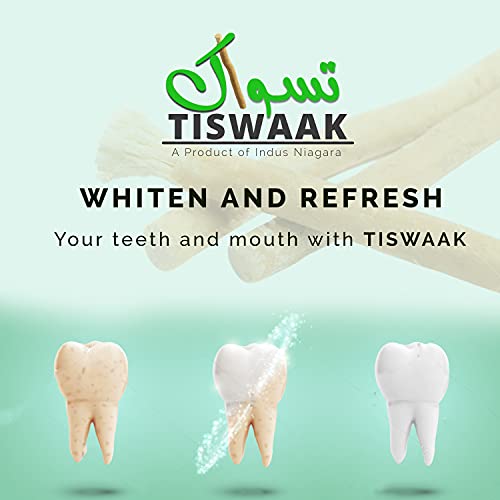 TISWAAK - Pack of 12 Miswak Stick Natural Teeth Whitening Kit – Muslim Natural Flavored Herbal Toothbrush Miswak Sticks Vacuum Sealed with Holder for Healthy Gums, Teeth & Fresher Breath || Pack of 12