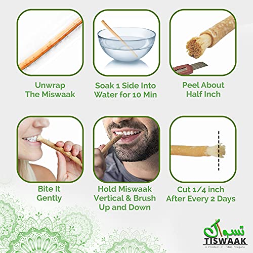 TISWAAK - Pack of 12 Miswak Stick Natural Teeth Whitening Kit – Muslim Natural Flavored Herbal Toothbrush Miswak Sticks Vacuum Sealed with Holder for Healthy Gums, Teeth & Fresher Breath || Pack of 12