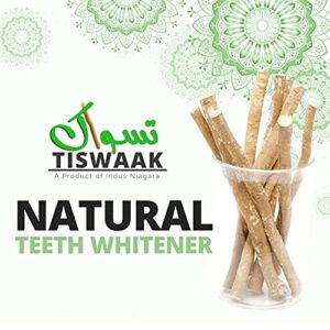 TISWAAK - Pack of 12 Miswak Stick Natural Teeth Whitening Kit – Muslim Natural Flavored Herbal Toothbrush Miswak Sticks Vacuum Sealed with Holder for Healthy Gums, Teeth & Fresher Breath || Pack of 12