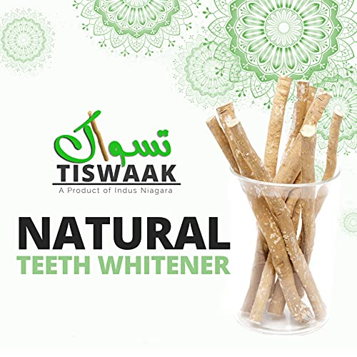 TISWAAK - Pack of 12 Miswak Stick Natural Teeth Whitening Kit – Muslim Natural Flavored Herbal Toothbrush Miswak Sticks Vacuum Sealed with Holder for Healthy Gums, Teeth & Fresher Breath || Pack of 12