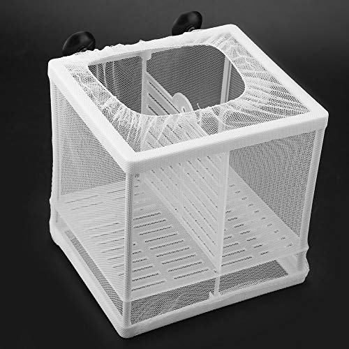 Multi-Function Fish breeding Incubator, Insulation mesh Box, for Aquarium Baby Fish breeding Fish