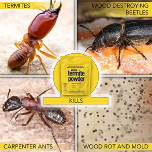 HARRIS Termite and Carpenter Ant Treatment and Mold Killer, 4lb Powder, Makes 4 Gallons Liquid Spray for Prevention and Control