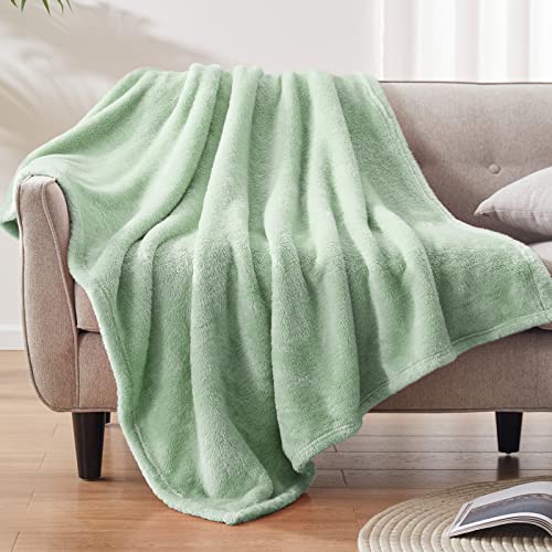 Whale Flotilla Fuzzy Faux Fur Throw Blanket for Couch, Soft Warm Fluffy Fleece Blanket for Bed/Sofa/Camping/Travel, Extra Large and Lightweight, 50x70 Inch, Light Green