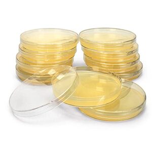 luria broth agar + ampicillin, prepoured medium plates