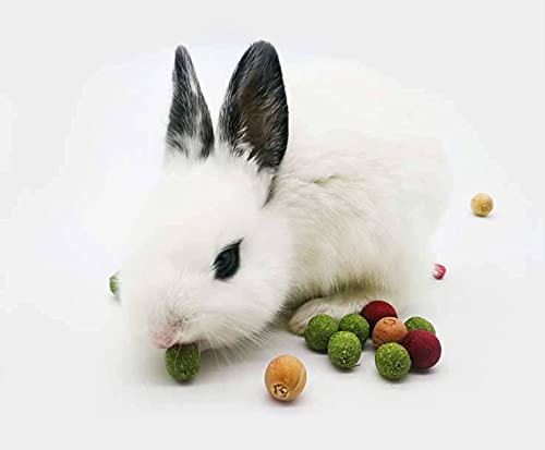 Rabbit Chew Toys, Small Animal Treats Include Fruit and Vegetable Balls, All Natural Baking Treats with Lucerne, Dandelion, Apple and Timothy Hay Ball for Guinea Pig, Hamster and Other Small Animals