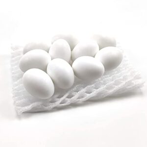 10 Pieces of Pigeon Eggs Simulation of Solid Plastic Pigeon Eggs for Pigeon Hatching Help Laying Pigeon Agricultural Tool Poultry