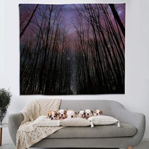 Night Forest Tapestry Wall Hanging Nature Landscape Tapestry Through Starry Night SkyTree Tapestries for Bedroom Living Room Dorm Decor - H51.2×W59.1 inches