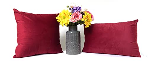 Norott Decorative Throw Pillow Vault Secret Pocket-6.5x10.5-Keep Items Private Safe Secure in Plain Sight-Beds-Couch-Sofa-Any Room-Travel Use- Oblong Crimson-13.5x19.5x6.5 inches