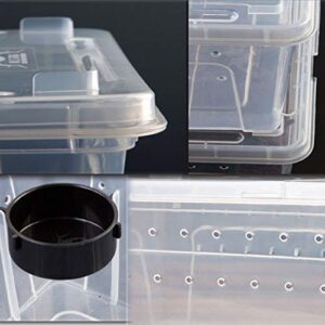 2 PCS Reptile Small Snake Feeding Box Lizard Tarantula Habitat Cage Hatching Container Transparent Portable Plastic Mini Pet Houses for Scorpion Spider Frog