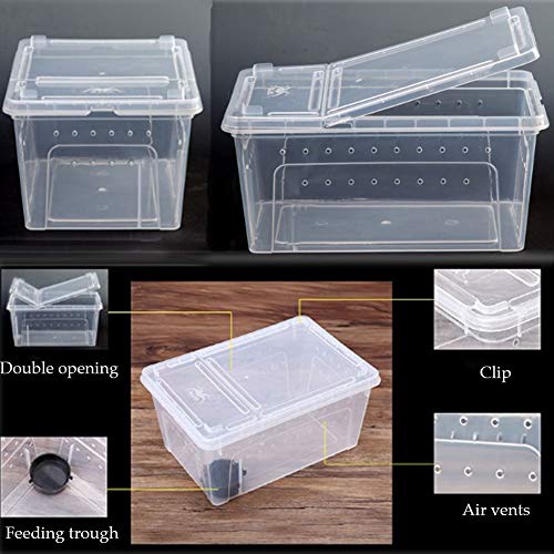 2 PCS Reptile Small Snake Feeding Box Lizard Tarantula Habitat Cage Hatching Container Transparent Portable Plastic Mini Pet Houses for Scorpion Spider Frog