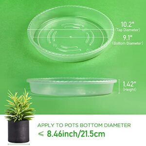 LotFancy Plant Saucer, 6 Pack of 10 Inch, Clear Plastic Plant Trays for Pots, Thick 35Gram Durable Flower Pot Base, Plant Plate to Catch Water for Indoors Outdoors