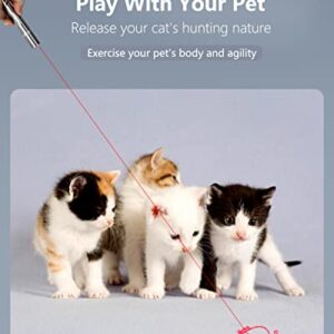 Puspoch Pet Rechargeable Cat Toys, Great Gift for Your Cats and Dogs, Interactive Toys for Kitten