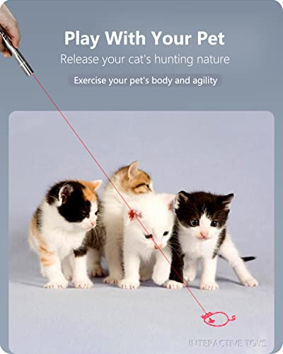 Puspoch Pet Rechargeable Cat Toys, Great Gift for Your Cats and Dogs, Interactive Toys for Kitten