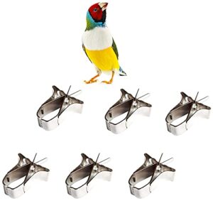 6 pcs bird food holder parrot cage seed feeder stainless steel vegetable fruit clip for bird cockatiel parrot hamster