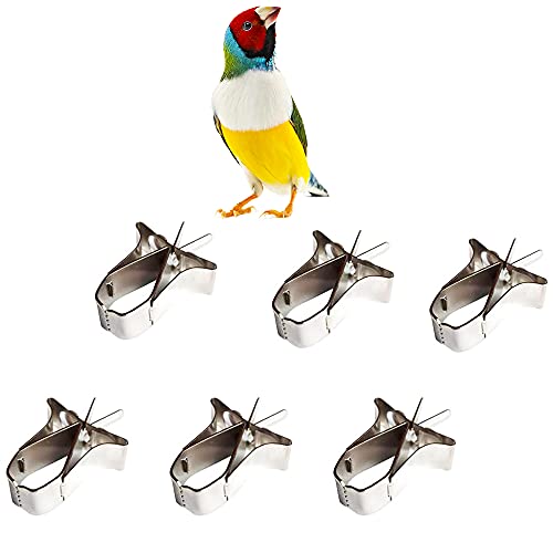 6 Pcs Bird Food Holder Parrot Cage Seed Feeder Stainless Steel Vegetable Fruit Clip for Bird Cockatiel Parrot Hamster