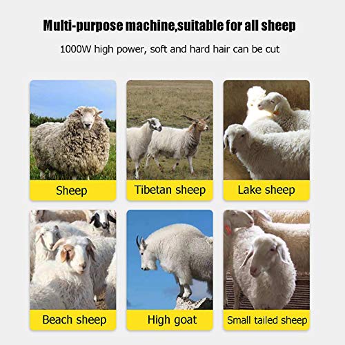 coldwind 1000W Electric Sheep Shears,Portable Sheep Clippers with 6 Speed,Electric Goat Shears for Sheep Goat Horse Alpacas Thick Coat and Heavy Duty Animals Hair Fur Grooming-Yellow