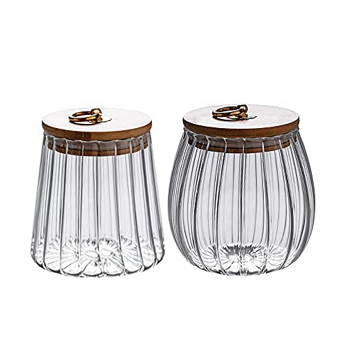 HongDream Glass Jars Canister Airtight Storage Container with Lid Metal Handle Small Glass Food Jars and Canisters Sets for Coffee Tea Spice 2 Pcs