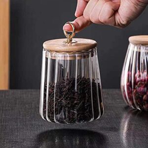 HongDream Glass Jars Canister Airtight Storage Container with Lid Metal Handle Small Glass Food Jars and Canisters Sets for Coffee Tea Spice 2 Pcs