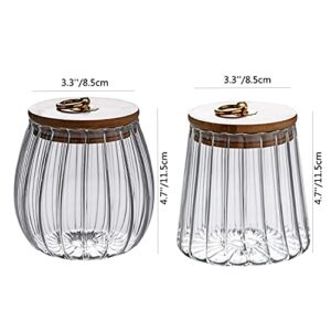 HongDream Glass Jars Canister Airtight Storage Container with Lid Metal Handle Small Glass Food Jars and Canisters Sets for Coffee Tea Spice 2 Pcs