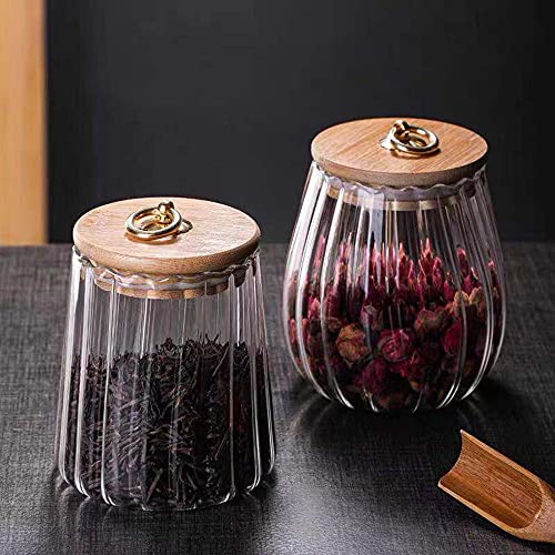 HongDream Glass Jars Canister Airtight Storage Container with Lid Metal Handle Small Glass Food Jars and Canisters Sets for Coffee Tea Spice 2 Pcs