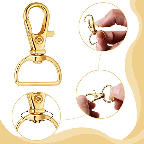 96 Pieces Swivel Clasps with D Rings and Slide Buckles Set Lanyard Snap Hooks Keychain Clip Hooks D Keychain Rings Lobster Claw Clasps for Keychain Purse Hardware Sewing Craft Project, 8 Colors