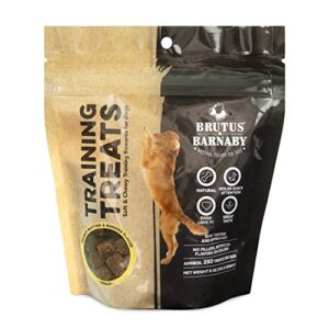 BRUTUS & BARNABY Training Treats for Dogs - Peanut Butter & Banana - All-Natural Healthy Low Calorie Vegan Treat - Great to Use for Rewards in Training Your Puppy Or Dog