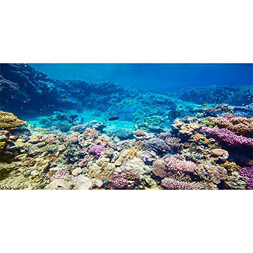 AWERT 48x24 inches Underwater Aquarium Background Coral Reef Undersea Fish Tank Background Polyester Background