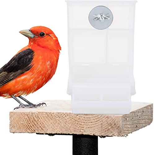 POPETPOP 2pcs Automatic Bird Feeder - No Mess Bird Cage Feeders Parrot Seed Tube, Creative Bird Feeding Container for Parakeet Canary Cockatiel Finch