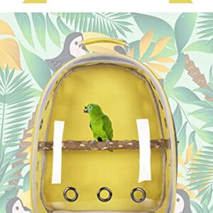 JingShi Bird Carrier Backpack Bubble Bird Travel Carrier Backpack with Standing Perch&Feeding Bowl Pet Parrot Space Capsule Transparent Backpack Breathable 360degree Sightseeing (Yellow)