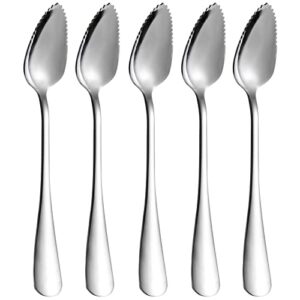 5 pcs grapefruit spoons, stainless steel grapefruit spoon utensil set, serrated edge & thick gauge handle, silver kitchen tool with non-stick plating for kiwi, dessert, apple, citrus fruit