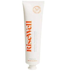 Japanese Style Toothpaste, RiseWell, Natural