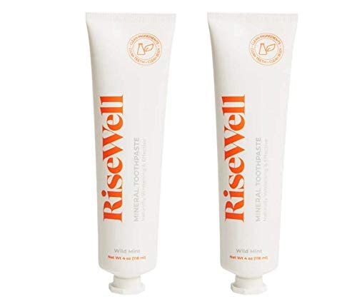 Japanese Style Toothpaste, RiseWell, Natural