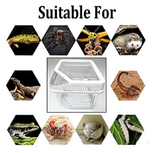 PINVNBY Reptile Feeding Box Acrylic Reptile Cage Transparent Portable Cube Container for Spiders Lizards Frogs Crickets Turtles Crabs