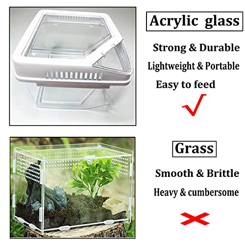 PINVNBY Reptile Feeding Box Acrylic Reptile Cage Transparent Portable Cube Container for Spiders Lizards Frogs Crickets Turtles Crabs