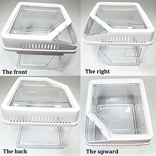 PINVNBY Reptile Feeding Box Acrylic Reptile Cage Transparent Portable Cube Container for Spiders Lizards Frogs Crickets Turtles Crabs